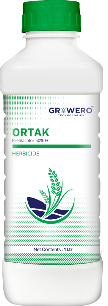 Ortak – Growero
